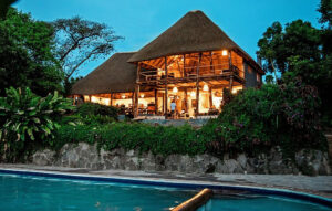 Turaco Tree Tops Lodge - Midrange Lodges - Kibale National Park